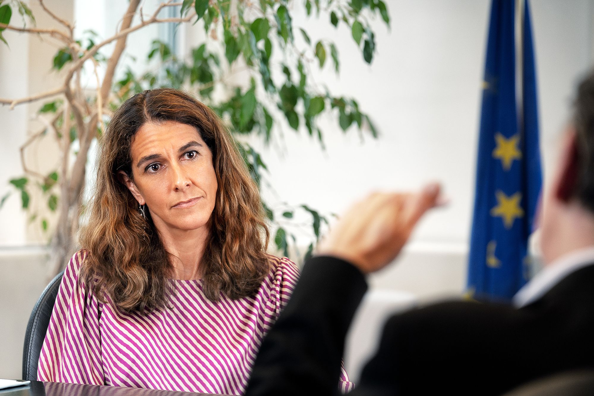 Paula Pinho European Green Deal - Siemens Global