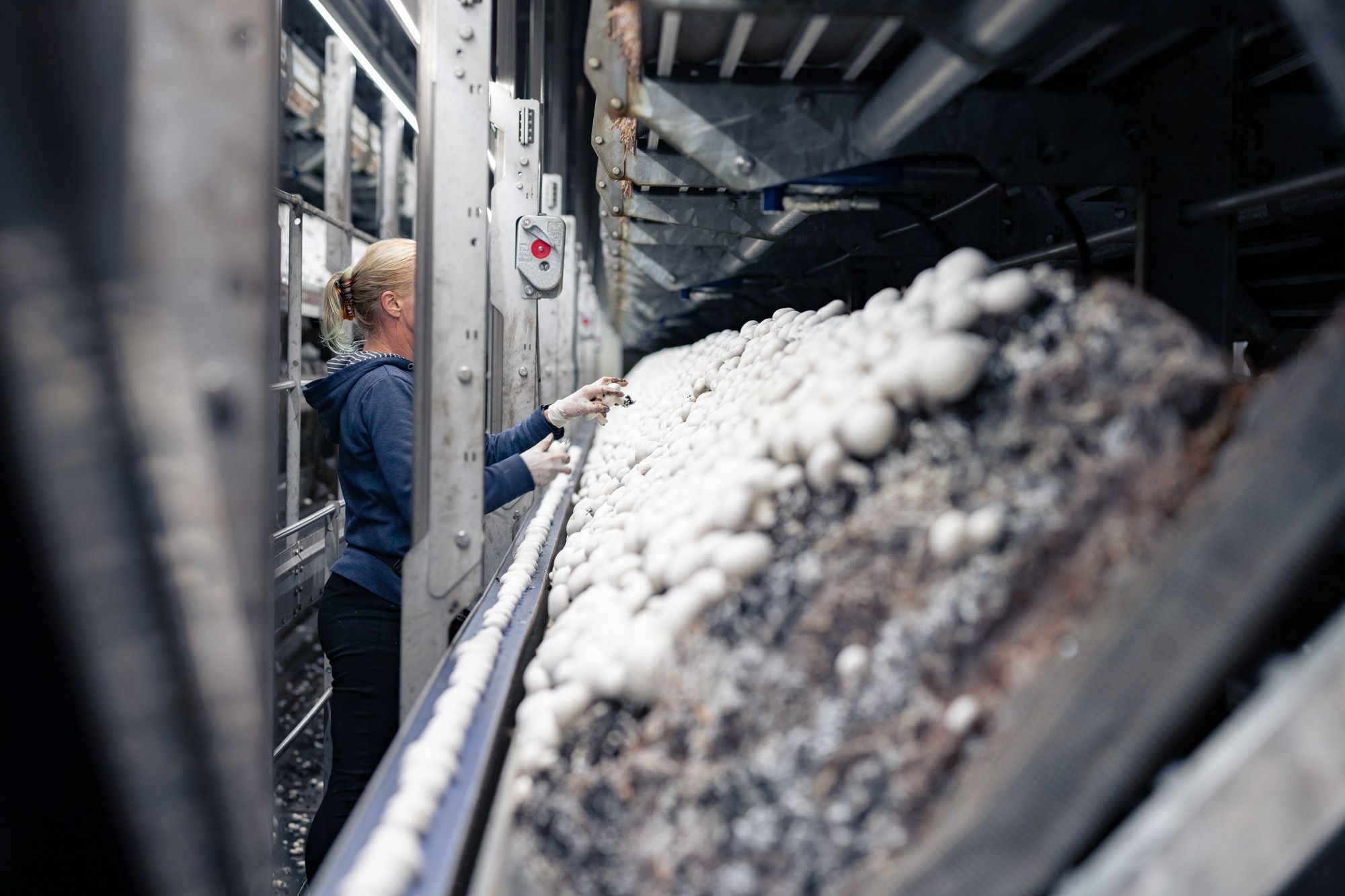 Handling and robotics solution for TLT Automation - Siemens Global