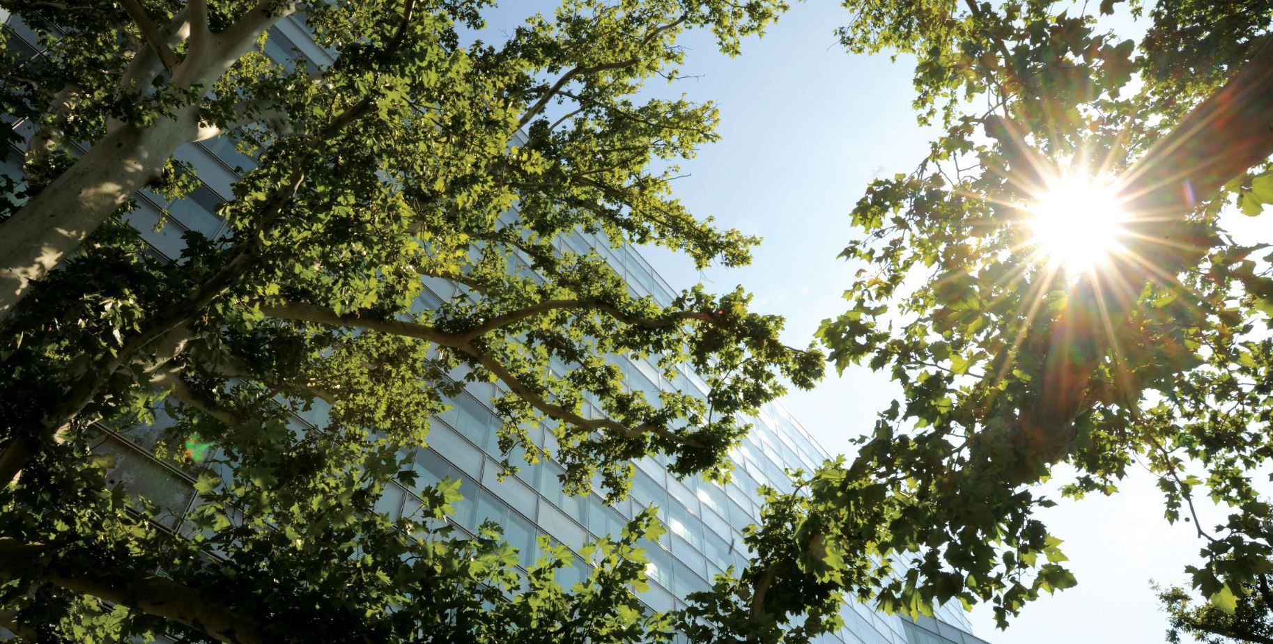 Energie-efficiëntie - Siemens NL