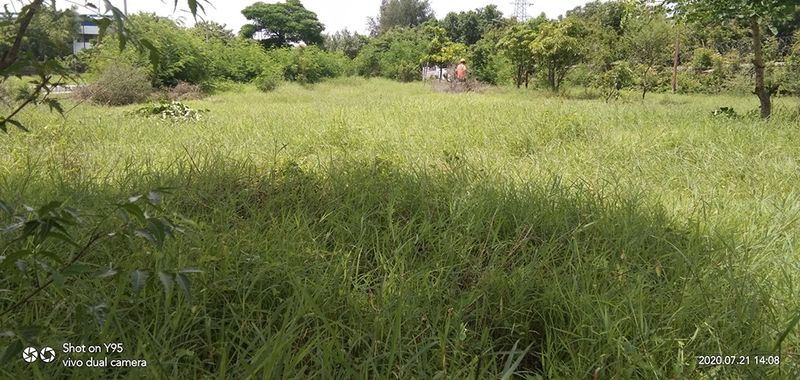 “Oxy-Hub” a new Urban Forest at Shendra - 2022 - Global