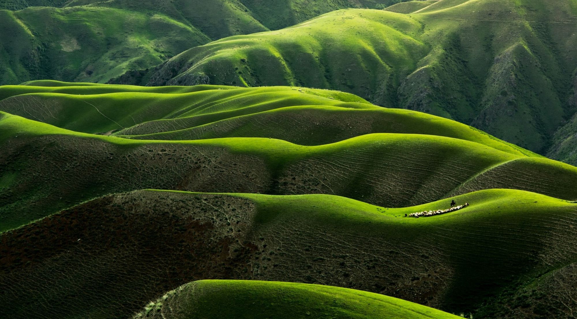 Product Carbon Footprint - Siemens AT