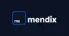 Comprehensive Mendix Support Services