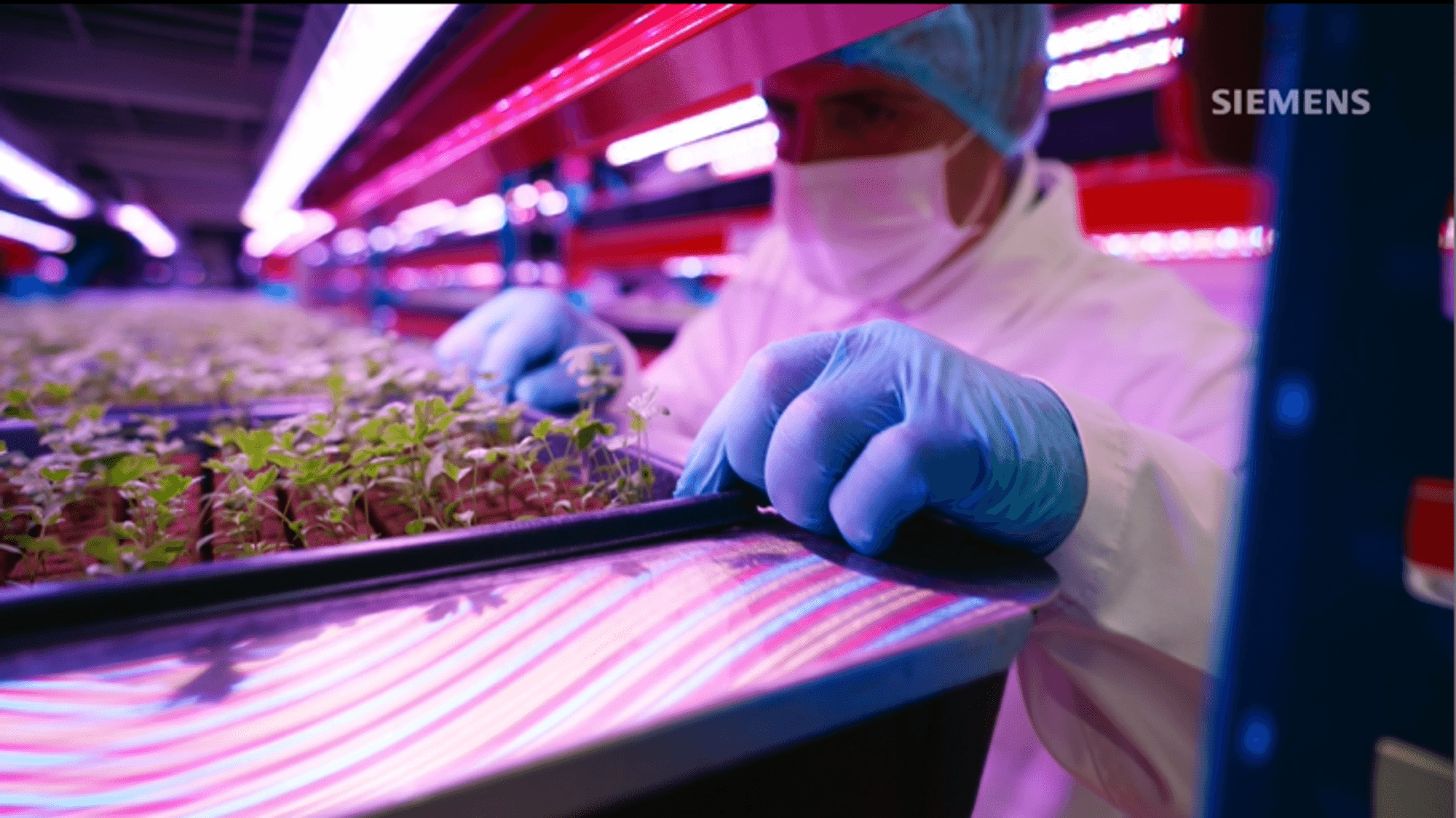 Emirates Crop One - Rethinking farming for a better world - Siemens MEA