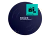 SICAM DLM - Siemens Global