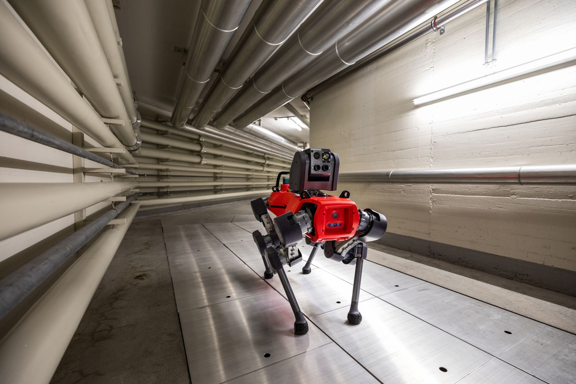Robot dogs revolutionize industrial maintenance - Siemens Global