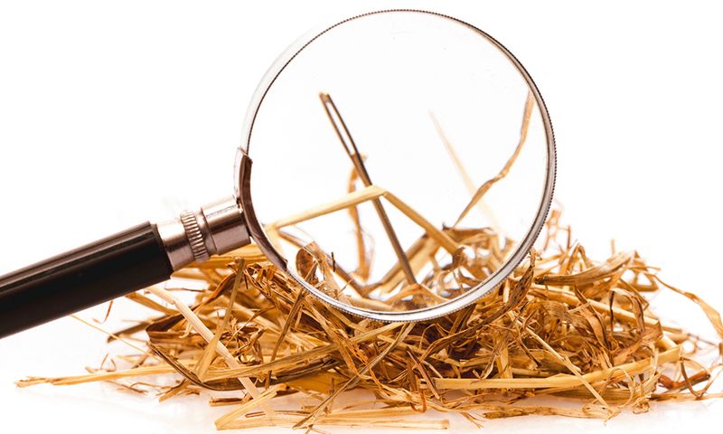 Project Haystack - Digital building lifecycle - Global