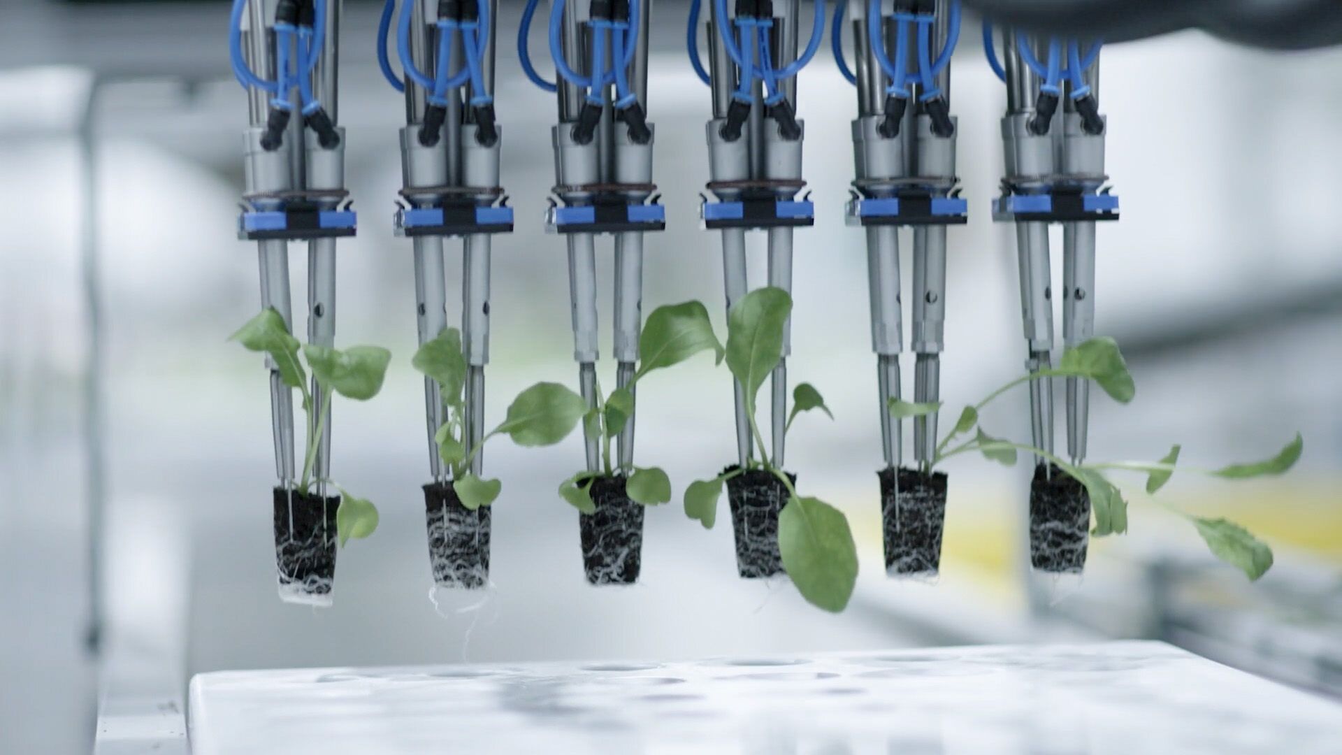 Indoor vertical farming at 80 Acres Farms - Siemens Global